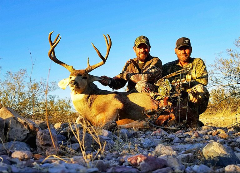 Arizona Mule Deer - Quality Hunts - #1 Hunt Provider