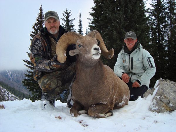 Canada Bighorn Sheep Hunt - Quality Hunts
