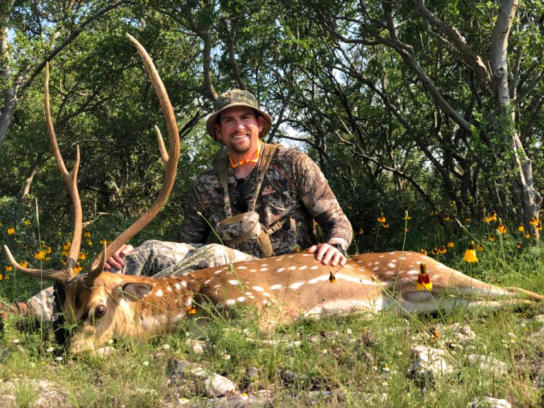 Texas Free Range Axis Deer - Quality Hunts