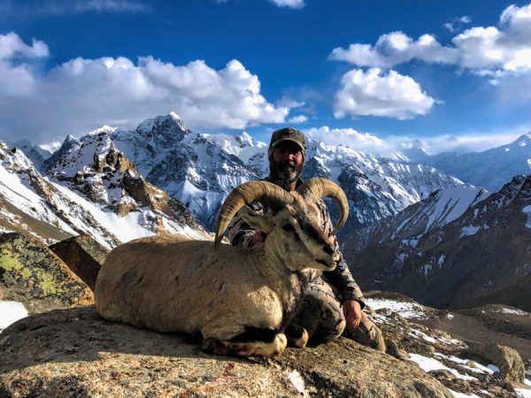 Blue Sheep Pakistan Hunt - Quality Hunts - Leader In Hunt Packages