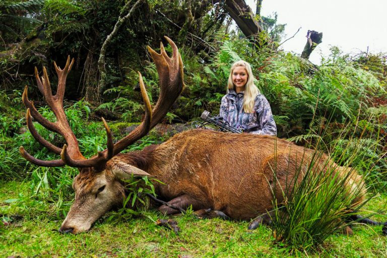 New Zealand Red Stag - Quality Hunts