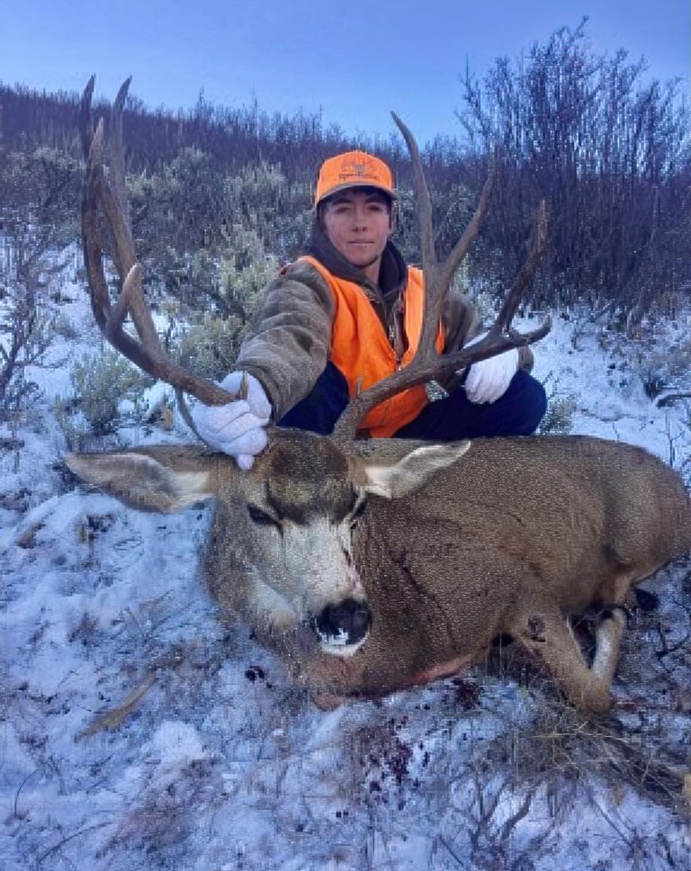 Colorado Trophy Rifle Mule Deer Buck Hunt - Quality Hunts