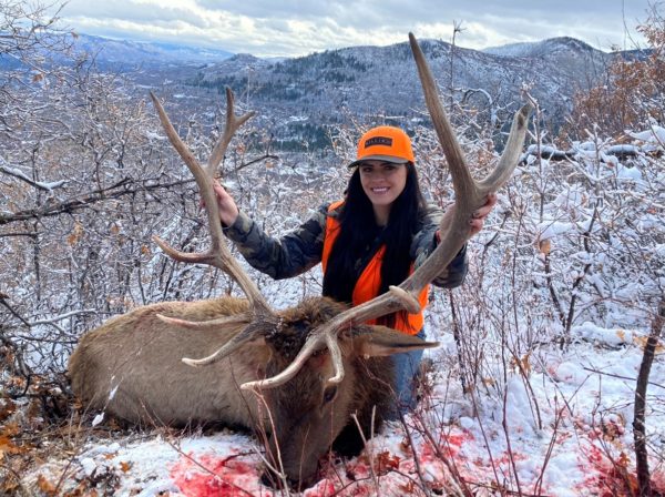 Colorado Rifle 1st Season Elk Hunt - Quality Hunts
